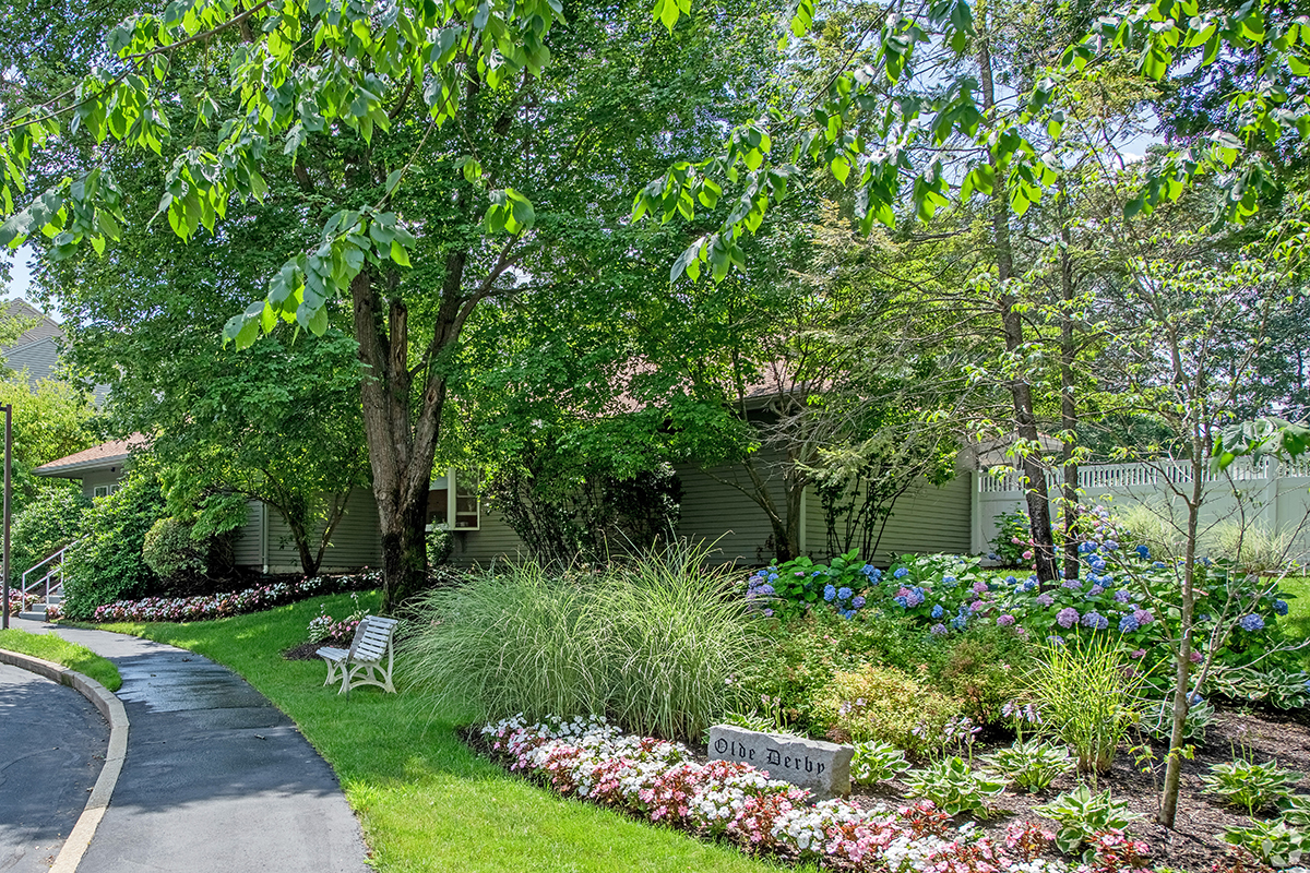 Gallery - Olde Derby Village